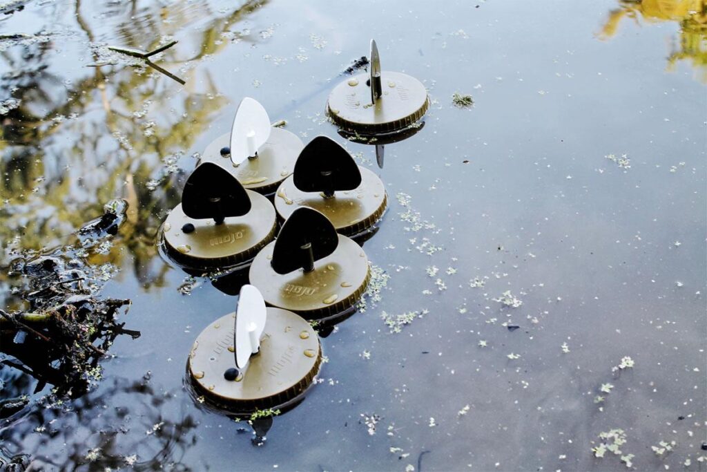 Mojo Flock a Flicker Review - Kayak Guys